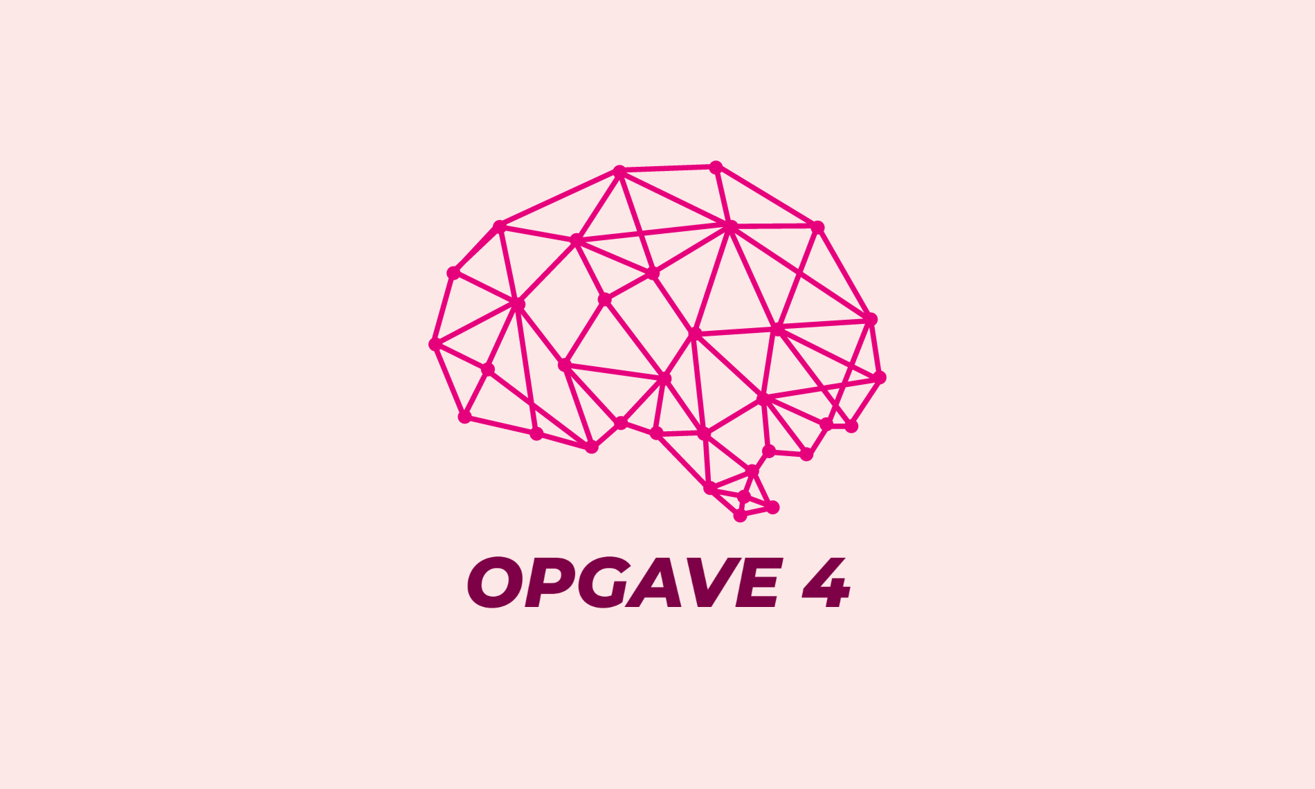 Opgave 4 | Tjekdet